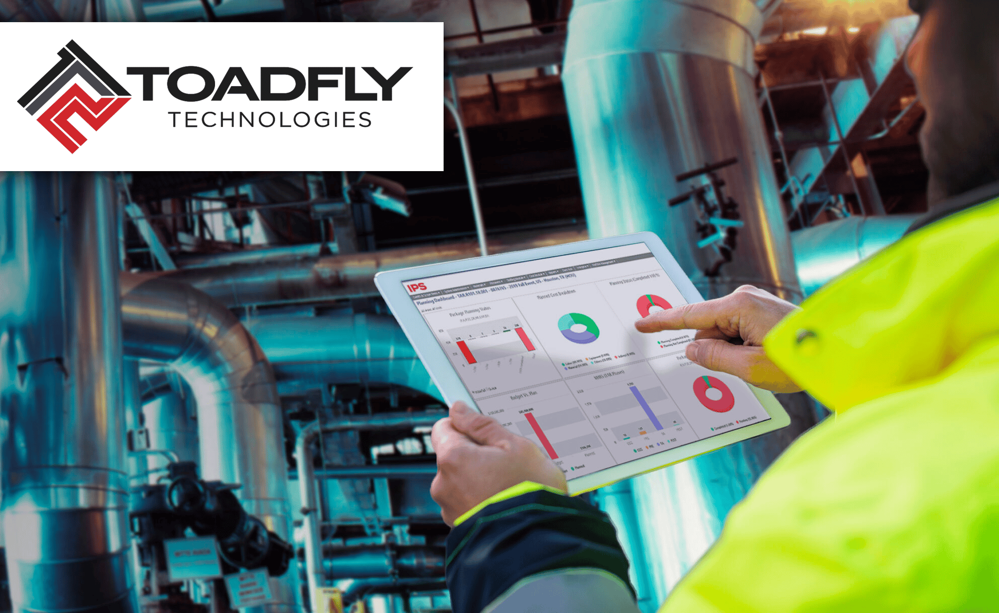 Company - Toadfly Technologies